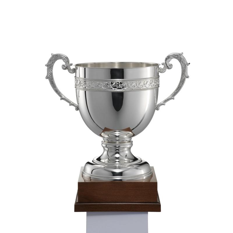 Unikalny puchar - nagroda sportowa