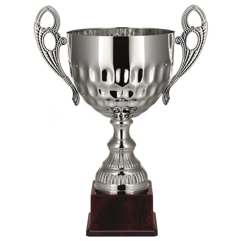 Charakterystyczny puchar na turnieje sportowe